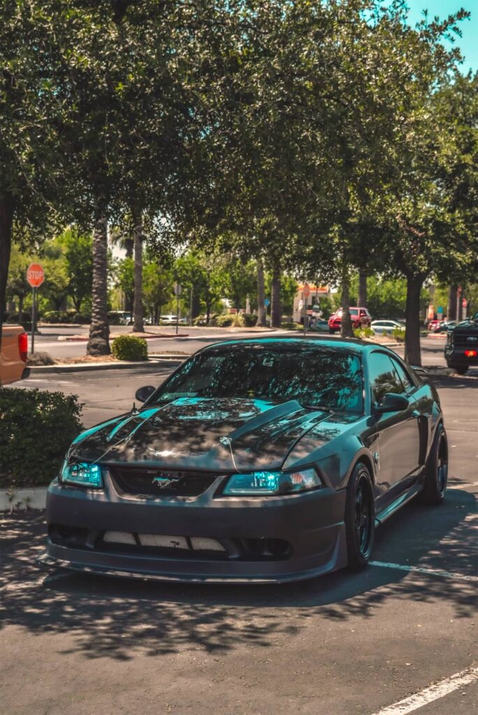 Custom 2004 Ford Mustang GT 40 Anniversary Edition With Cobra R Bumper ...